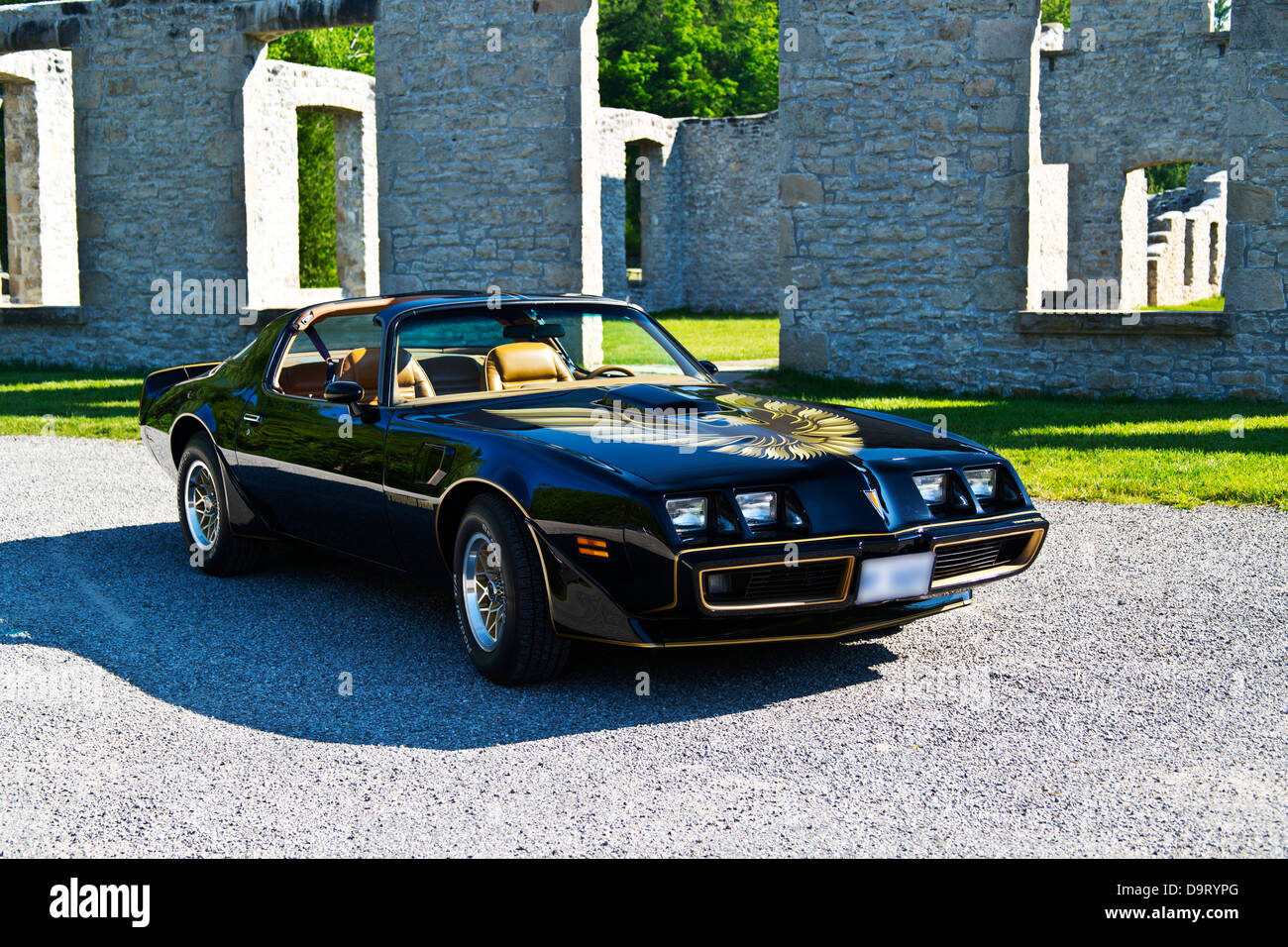 Pontiac trans am hi-res stock photography and images - Alamy