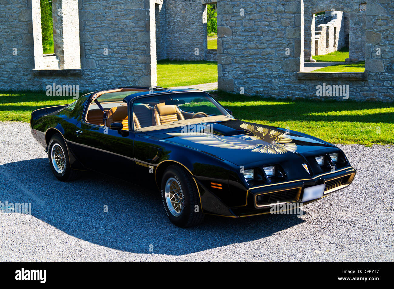 1979 Pontiac Special Edition Trans Am Stock Photo - Alamy
