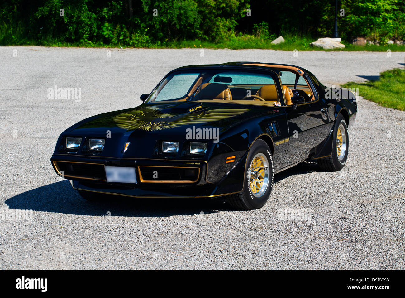 1979 pontiac trans am hi-res stock photography and images - Alamy