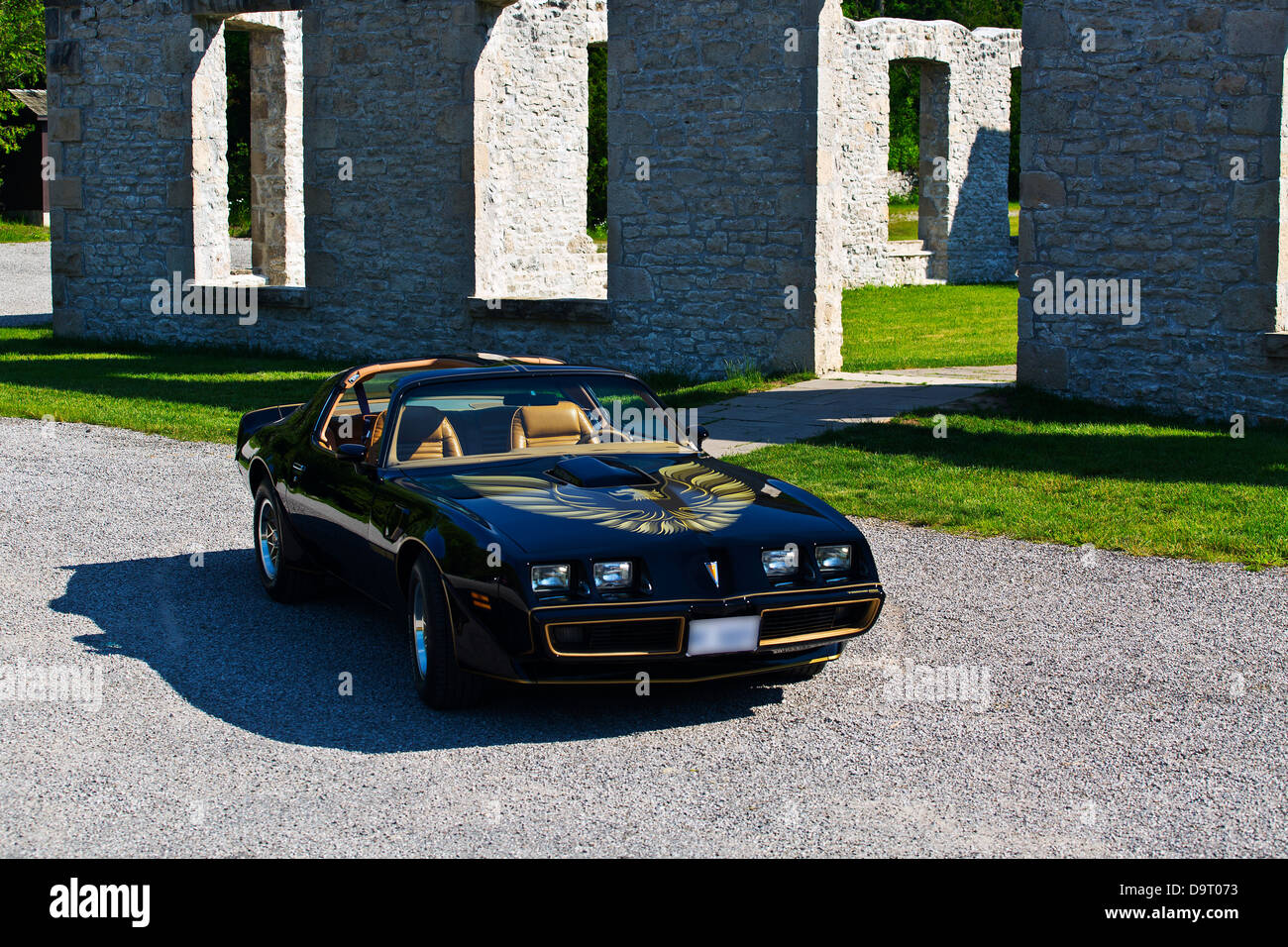 1979 Pontiac Special Edition Trans Am Stock Photo - Alamy