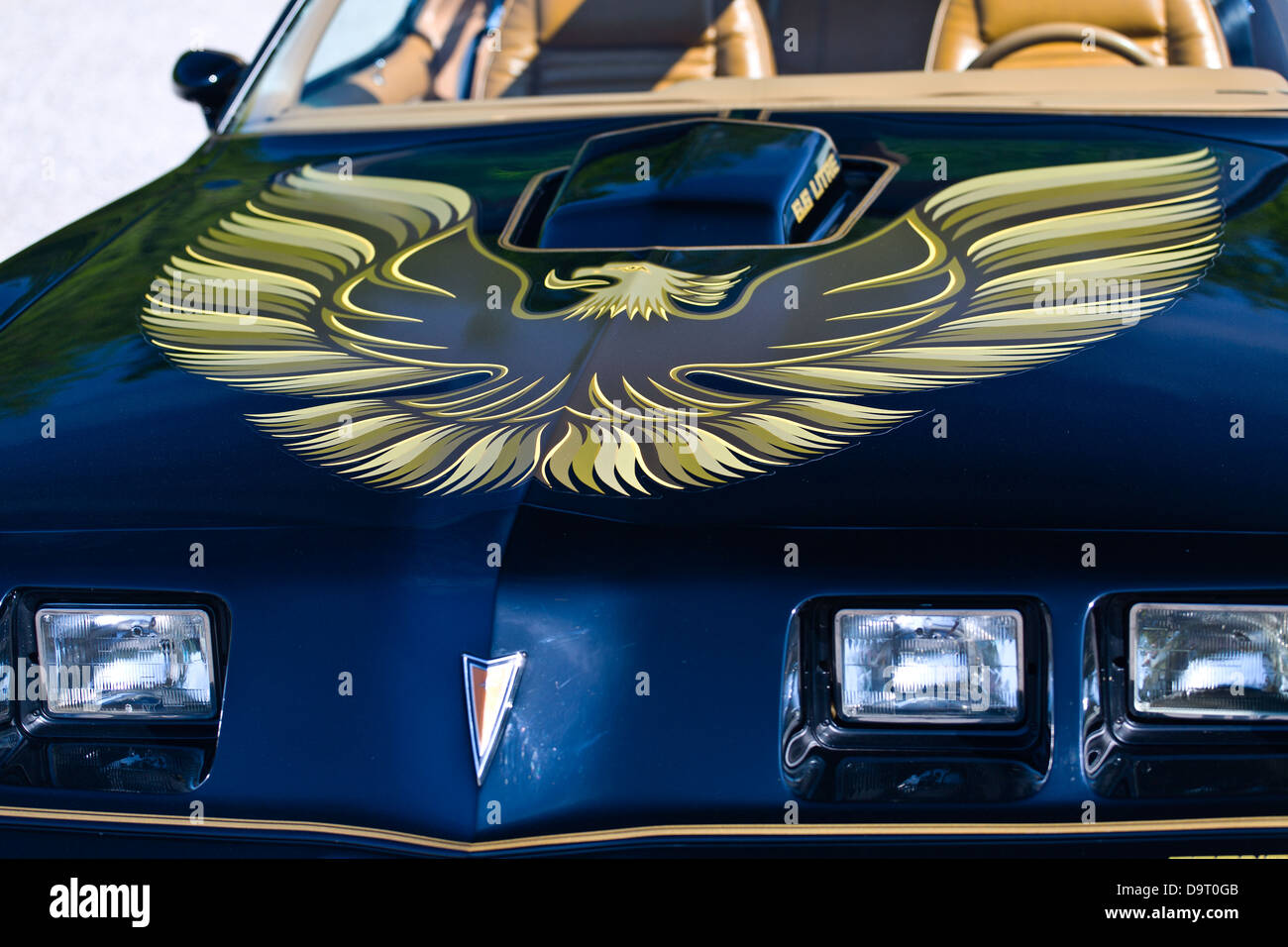1979 Pontiac Special Edition Trans Am Stock Photo - Alamy