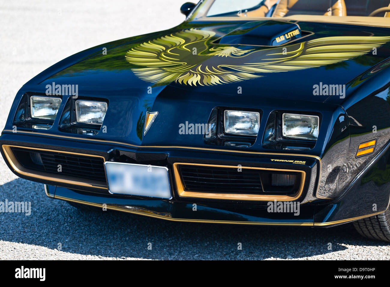 1979 Pontiac Special Edition Trans Am Stock Photo - Alamy