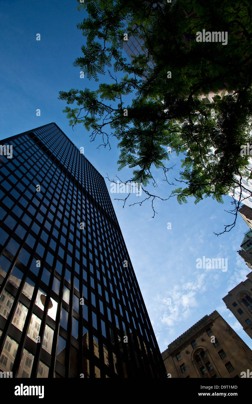 Toronto high rise buildings hi-res stock photography and images - Alamy