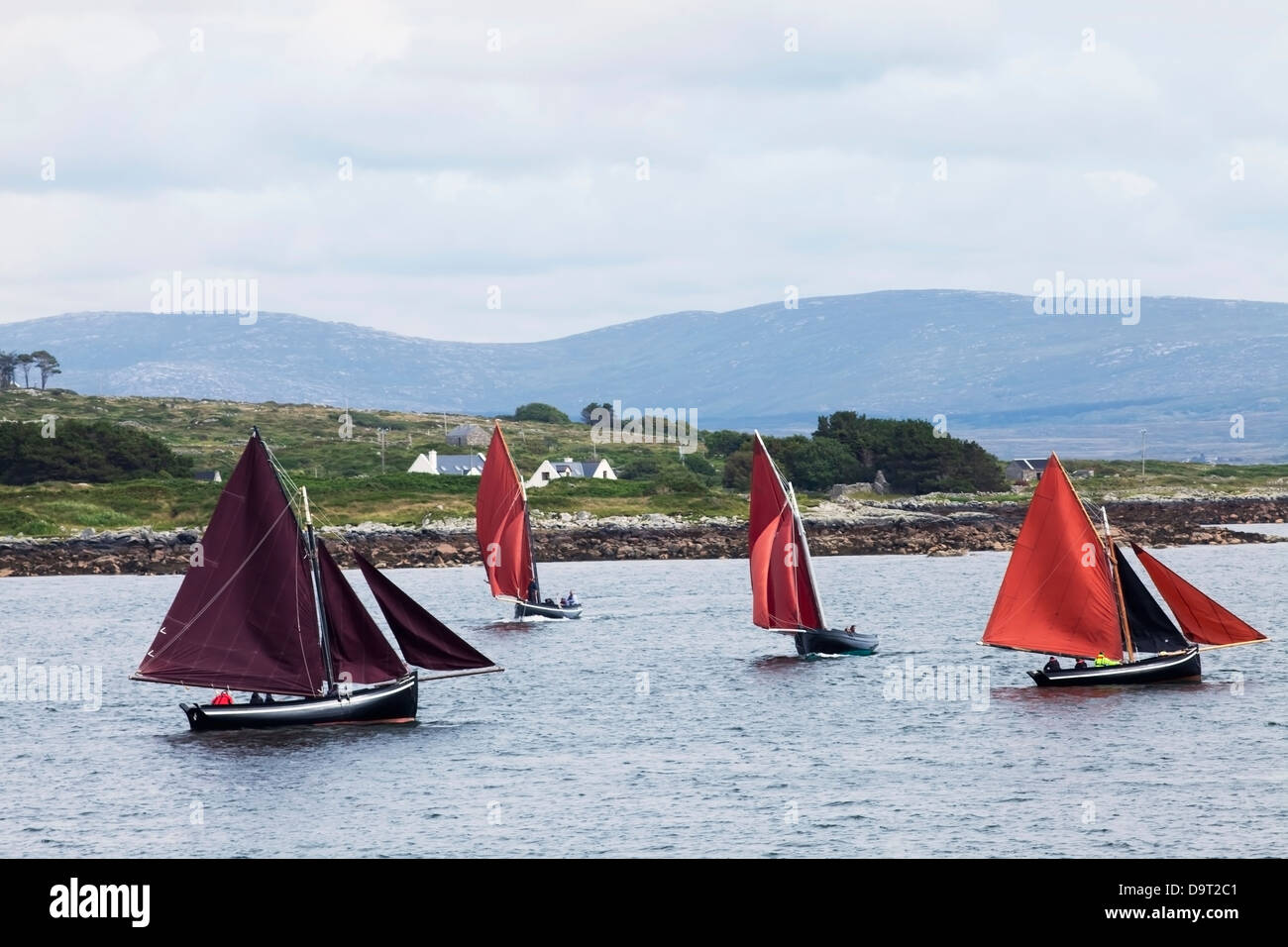 Sailboats in the roundstone regatta;Roundstone county galway ireland ...