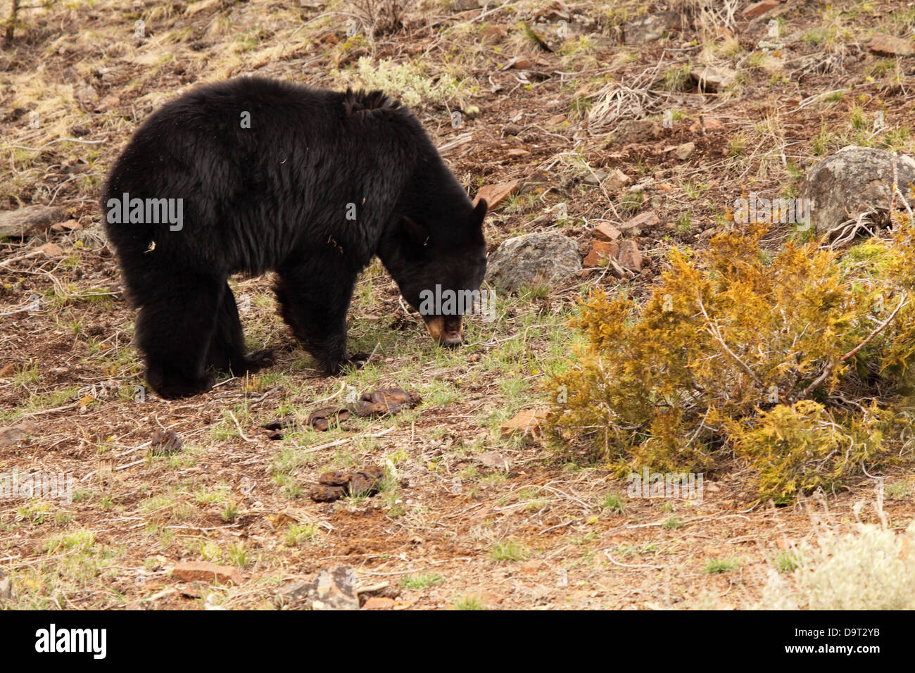 Eat spring is here hi-res stock photography and images - Alamy