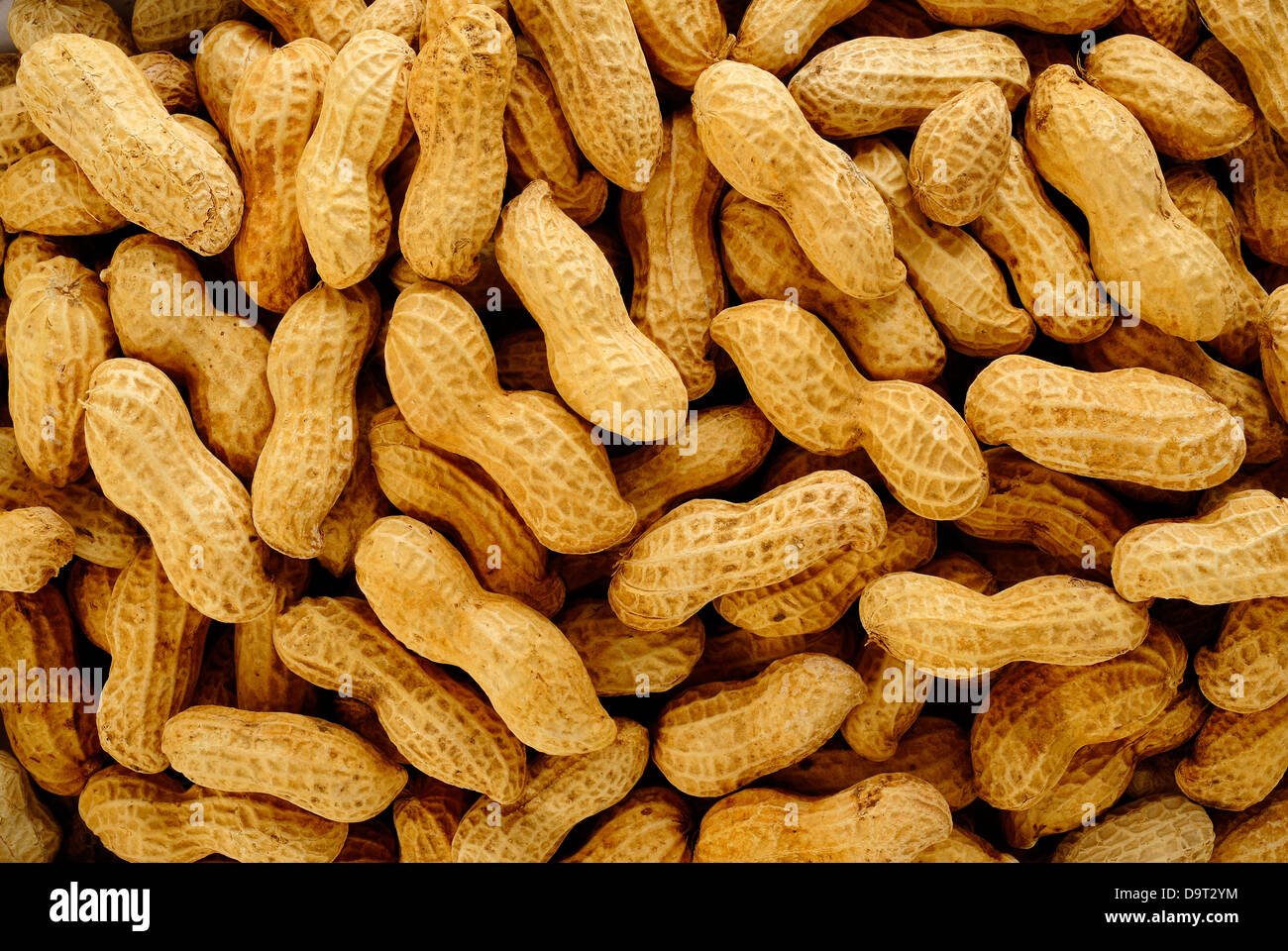 Peanuts plant hi-res stock photography and images - Alamy