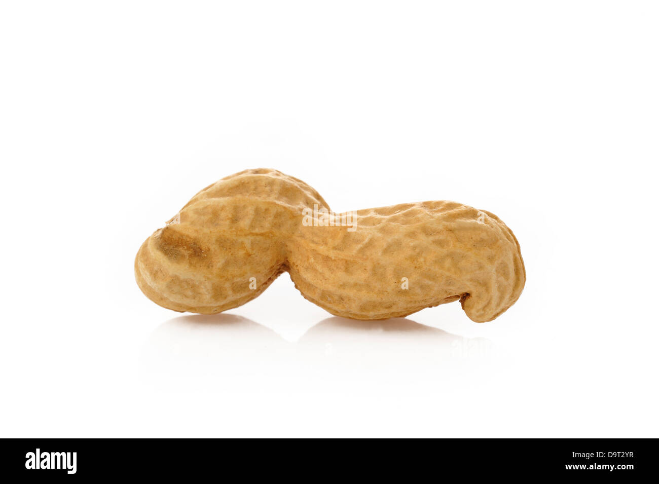 Peanut on white background Stock Photo - Alamy