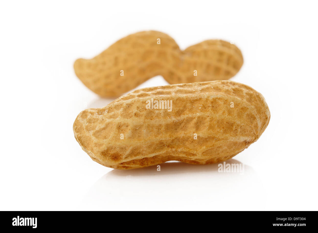 Peanut on white background Stock Photo - Alamy