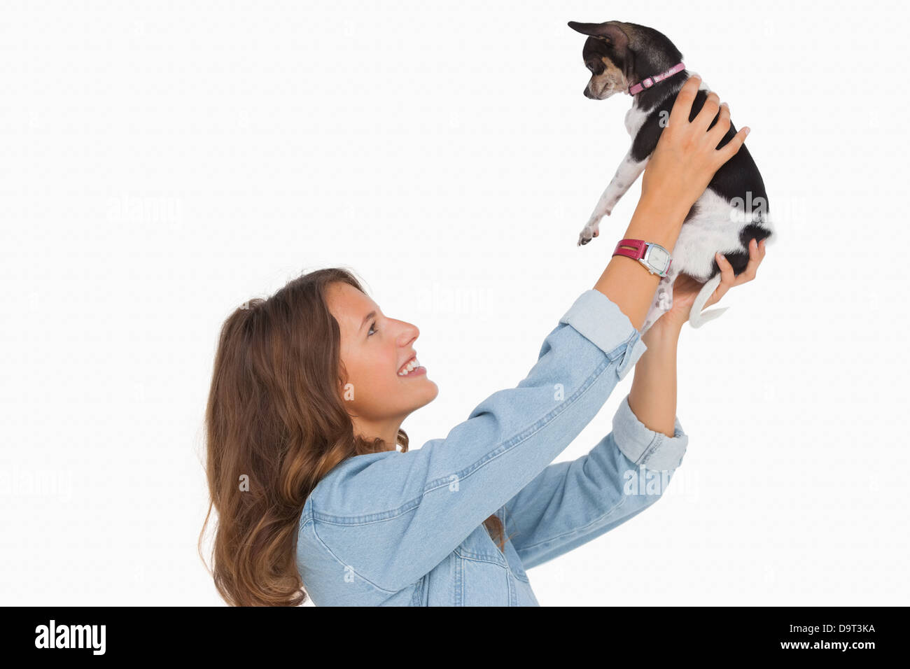 Pretty woman lifting her chihuahua up Stock Photo - Alamy