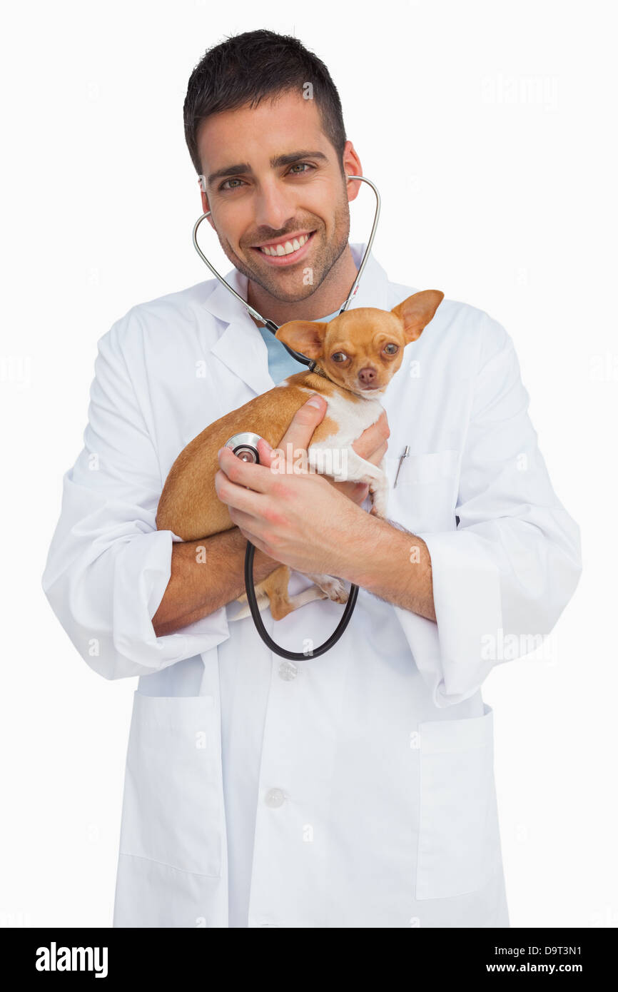 Happy vet checking dog with stethoscope Stock Photo - Alamy