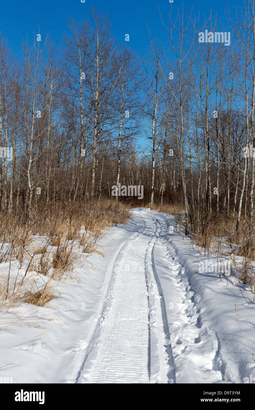 Snowmobile trail hi-res stock photography and images - Alamy