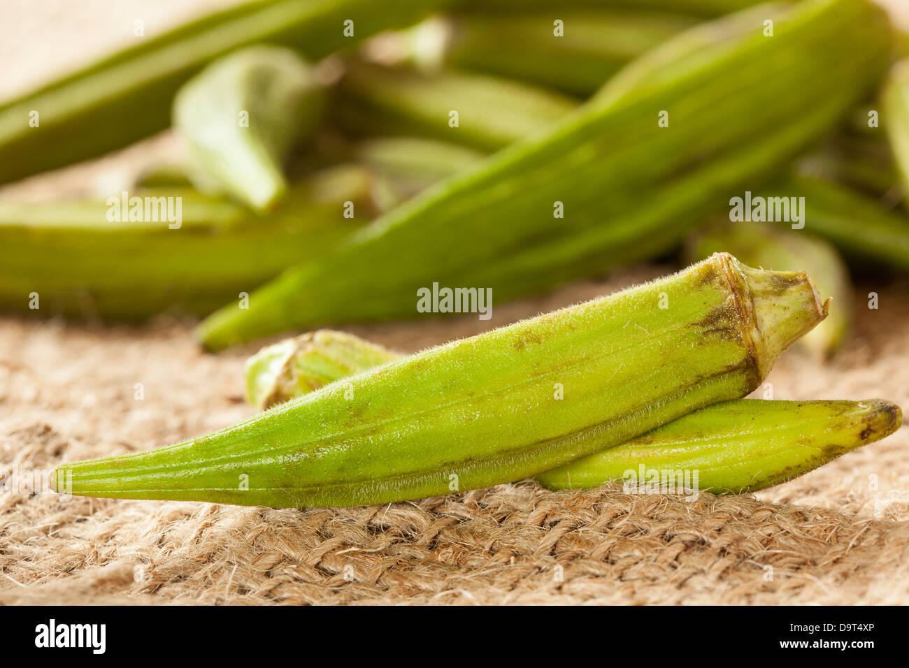 Organic Green Okra Vegetable against a Background Stock Photo - Alamy