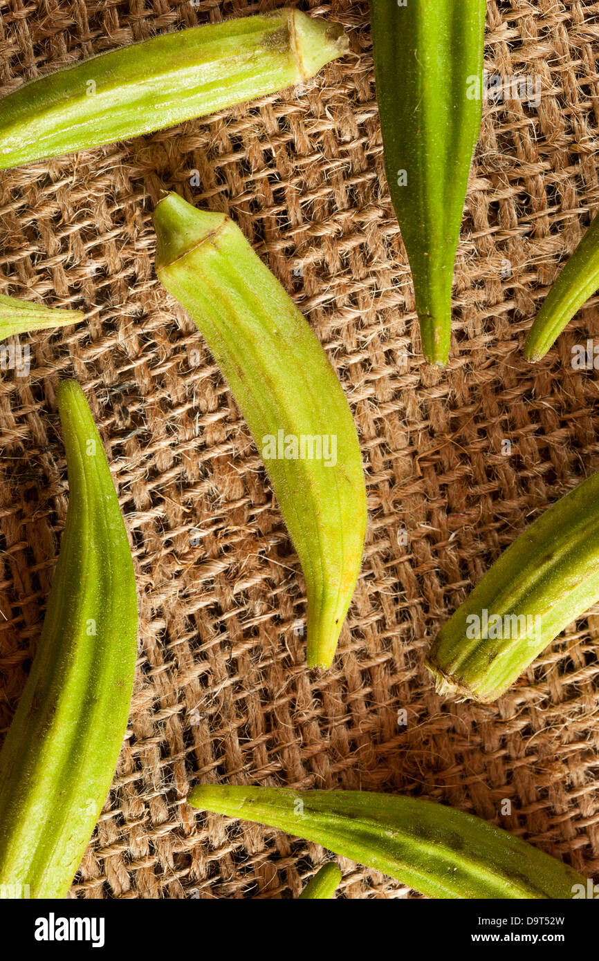 Organic Green Okra Vegetable against a Background Stock Photo - Alamy