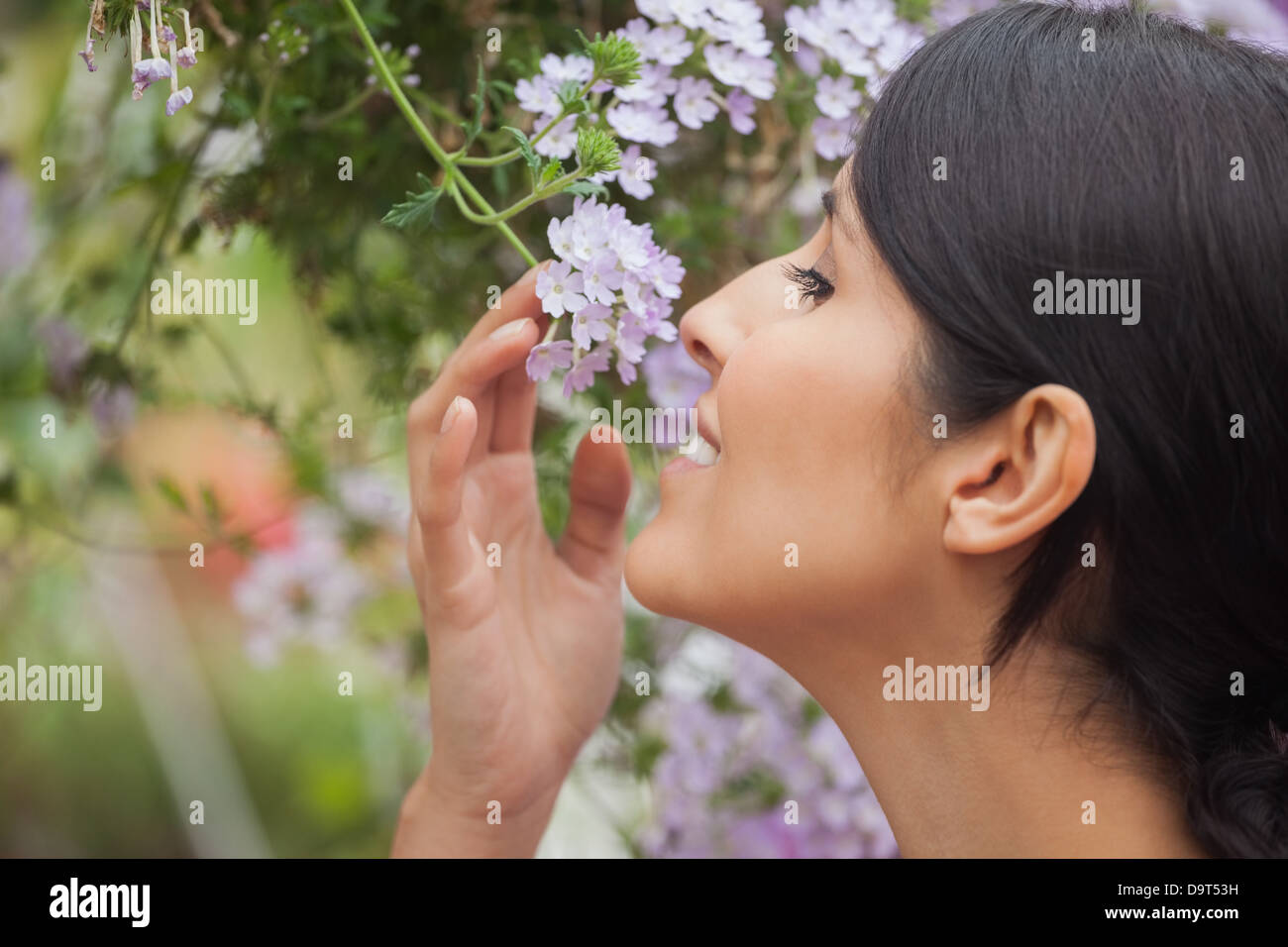 Woman smelling flower Stock Photo - Alamy