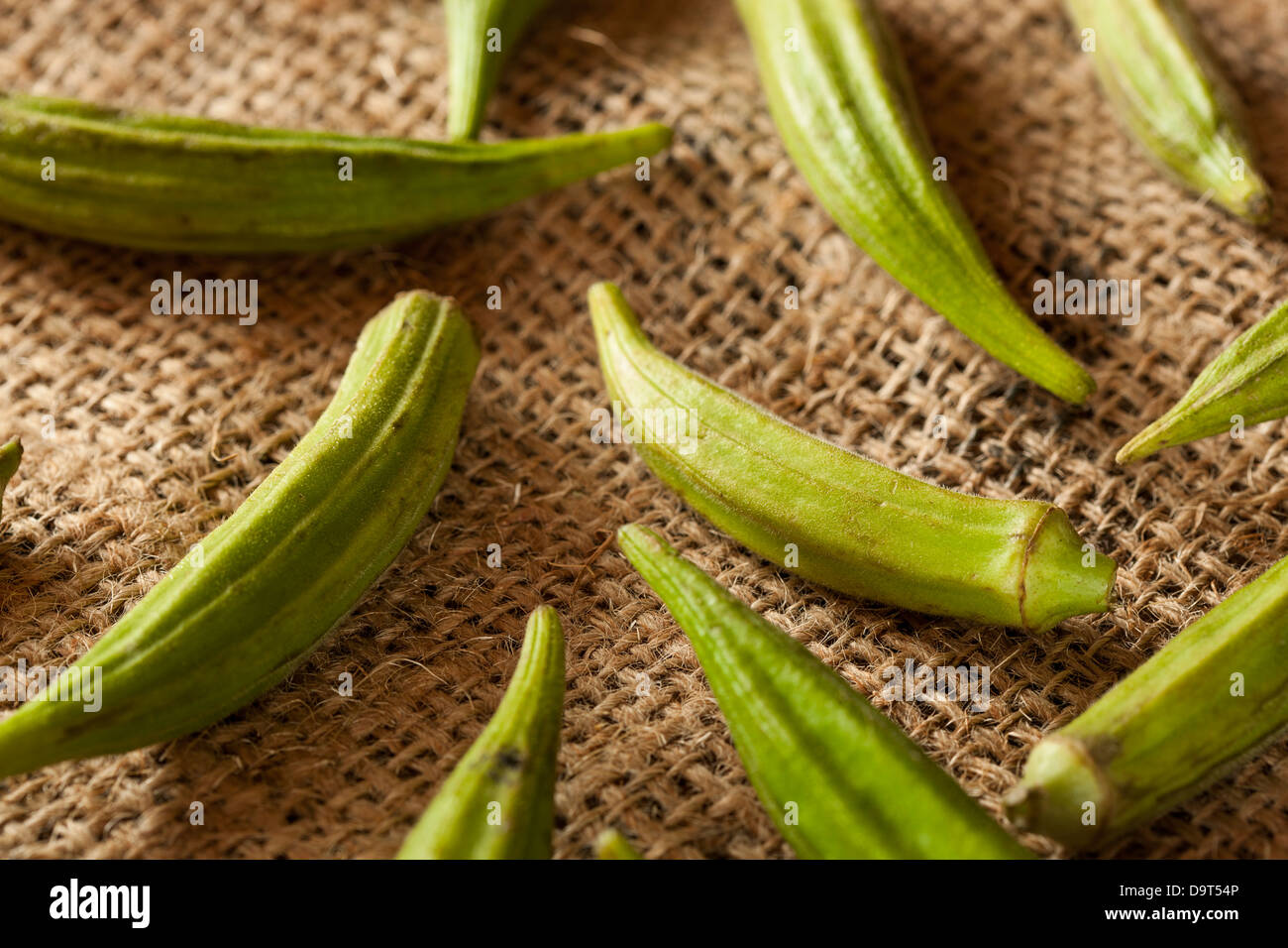 Organic Green Okra Vegetable against a Background Stock Photo - Alamy