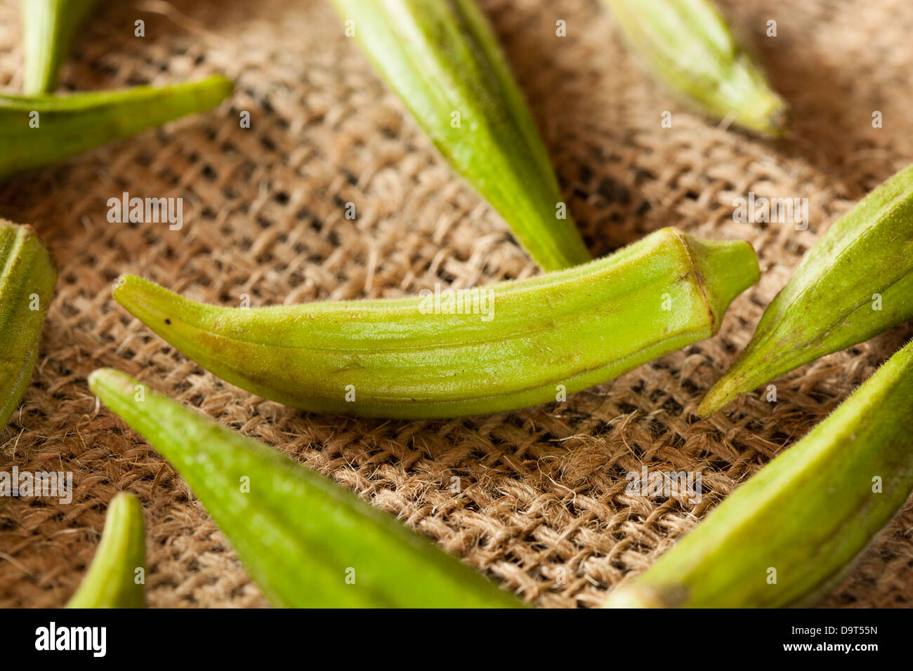 Green okra hi-res stock photography and images - Alamy