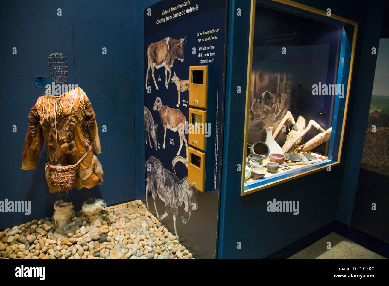 Neolithic display hi-res stock photography and images - Alamy