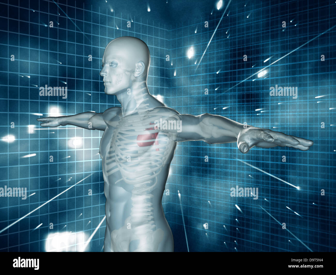 Transparent human body internal organs hi-res stock photography and ...