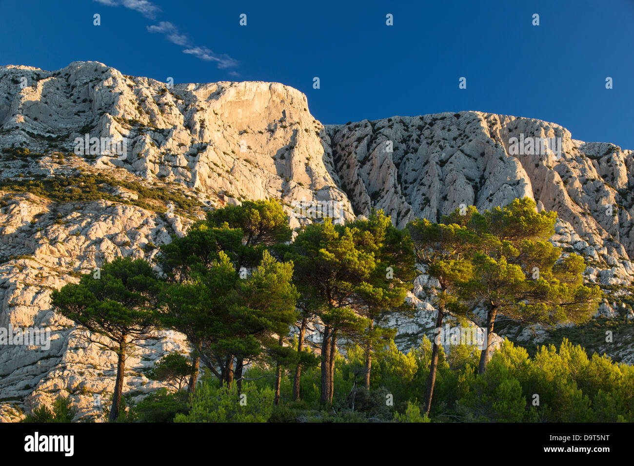 Victoire hi-res stock photography and images - Alamy