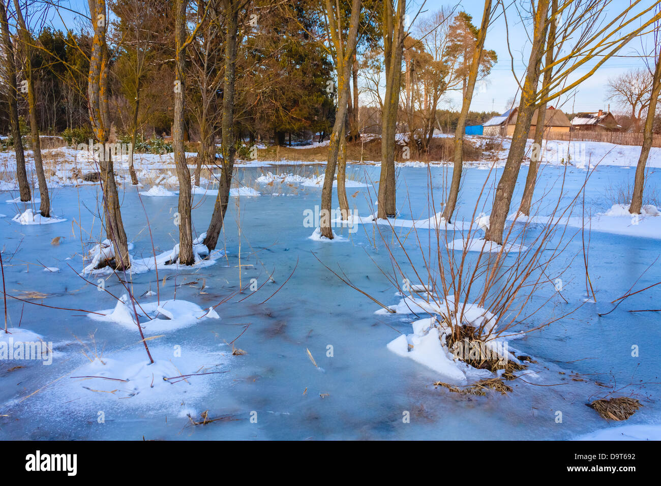 Wild Bog. Russian Nature In Winter Stock Photo - Alamy