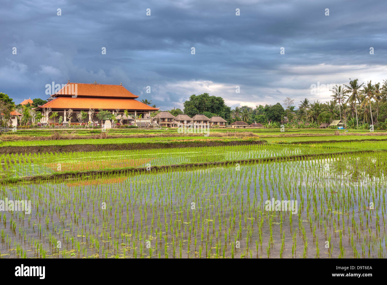 Sunset ubud bali hi-res stock photography and images - Alamy