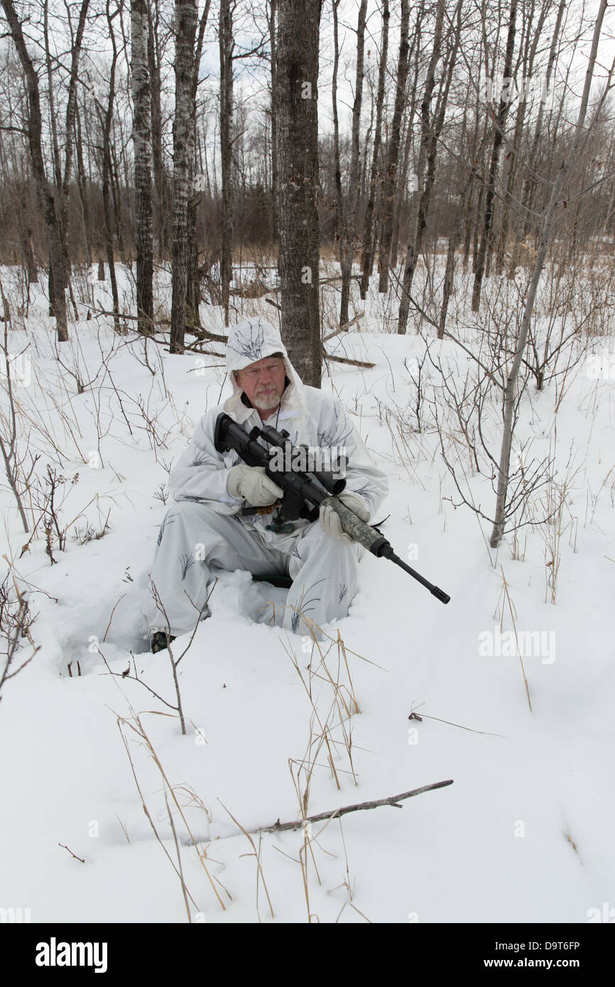 Coyote hunting in the winter Stock Photo - Alamy