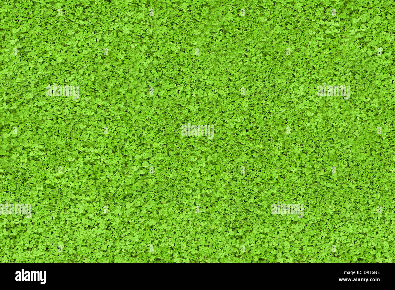 The green nature hi-res stock photography and images - Alamy