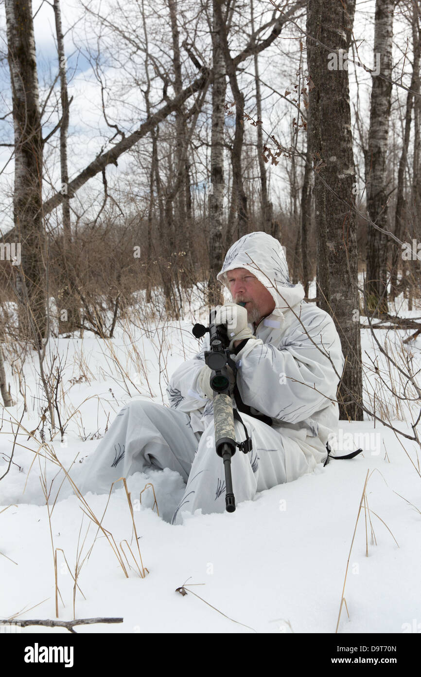 Coyote hunting in the winter Stock Photo - Alamy