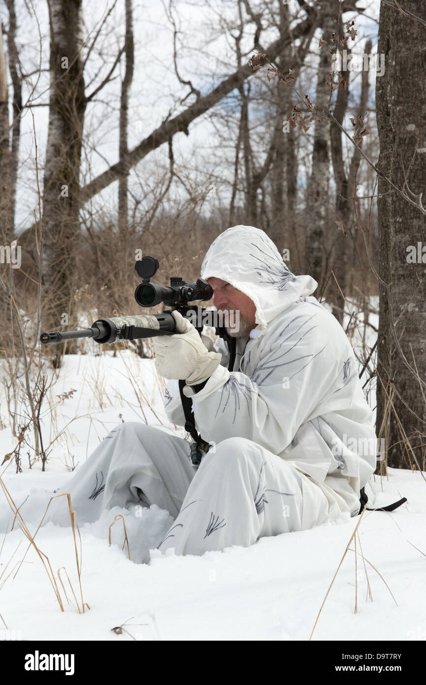 Coyote hunting in the winter Stock Photo - Alamy