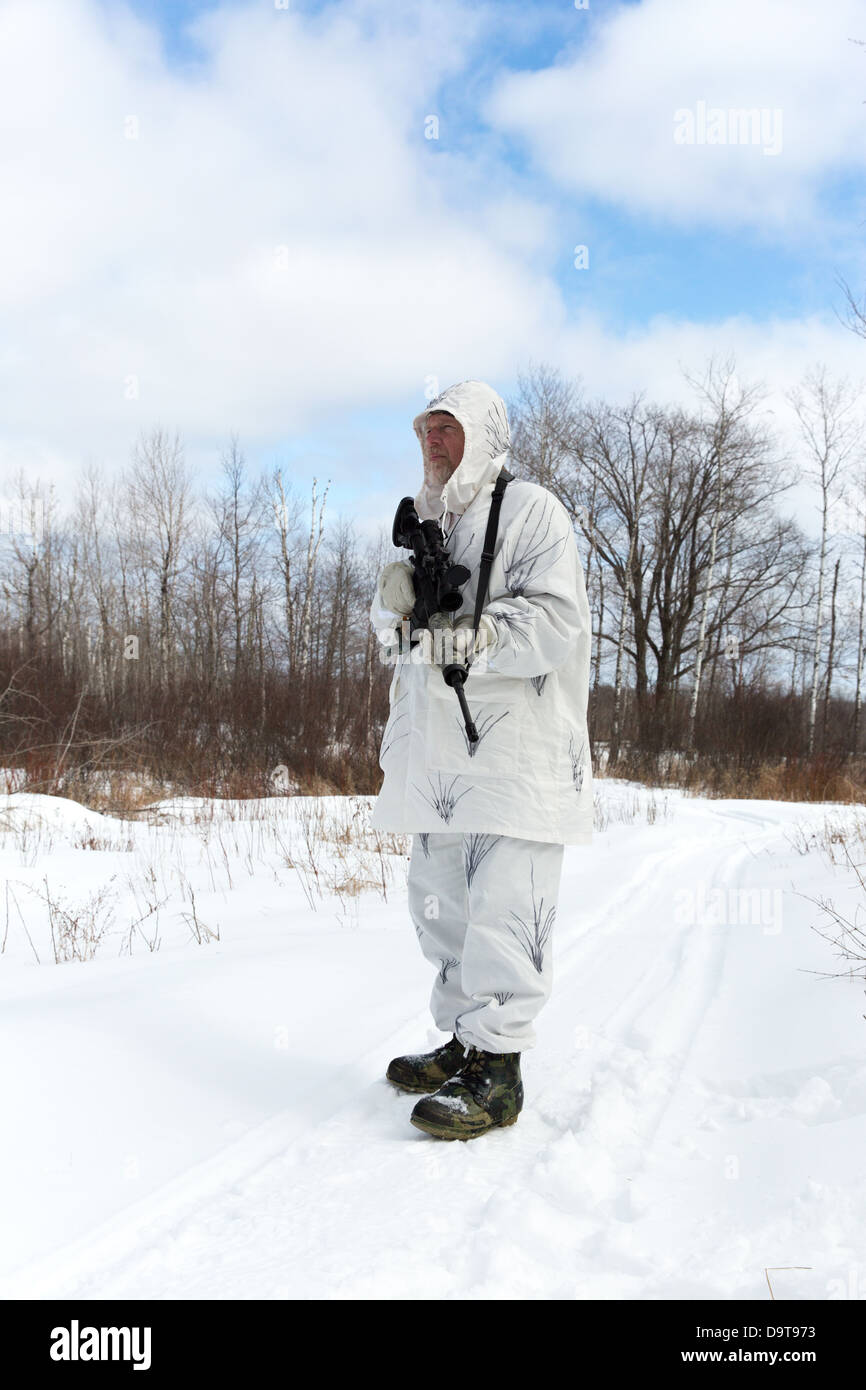 Coyote hunting in the winter Stock Photo - Alamy