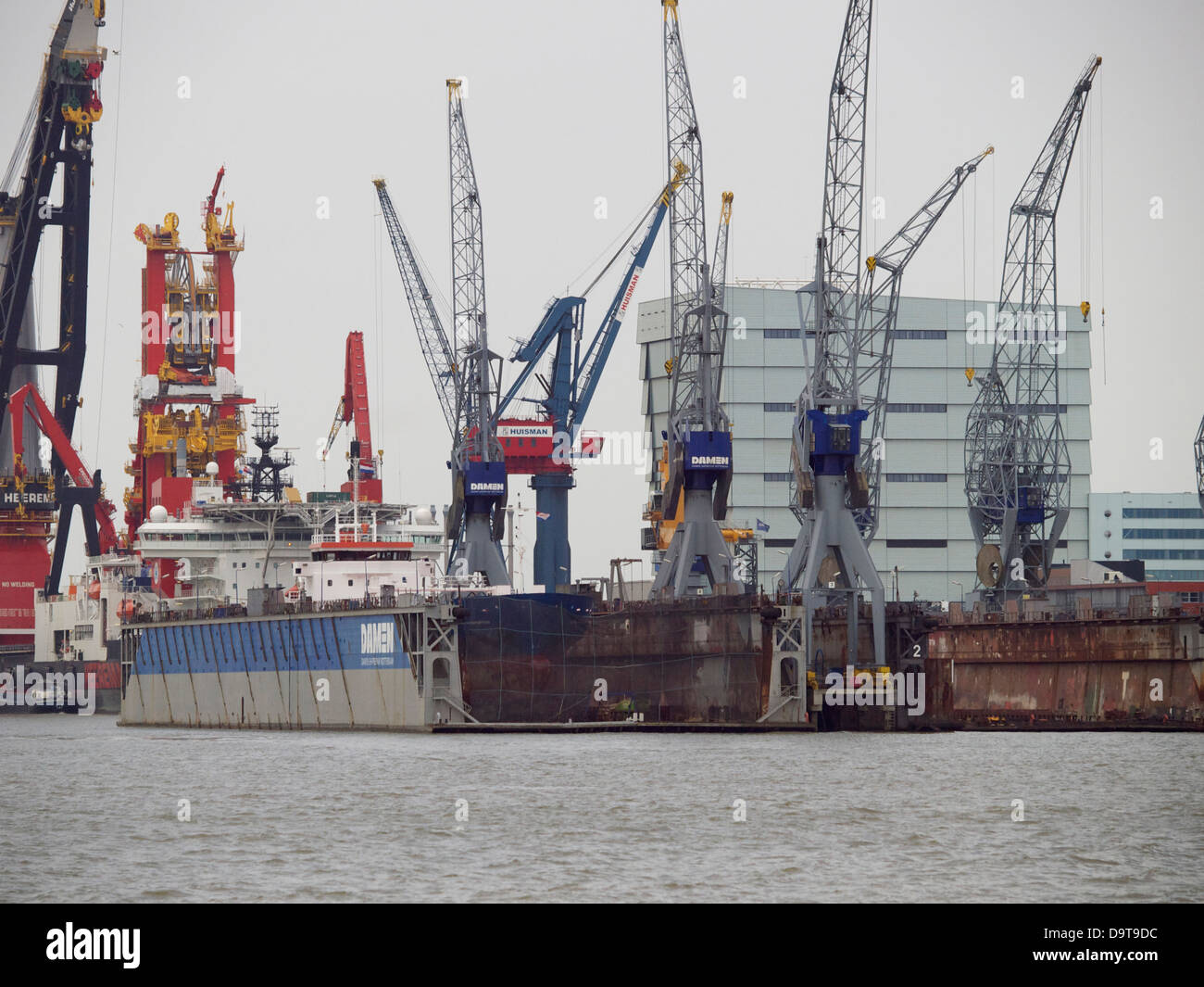 Damen shipyards drydock with ship in it, in the port of Rotterdam, the ...