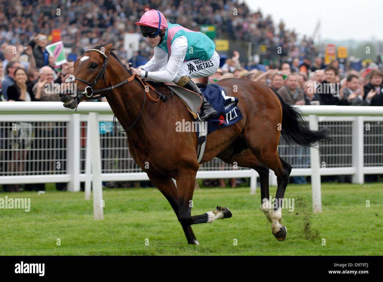 Frankel horse hi-res stock photography and images - Alamy