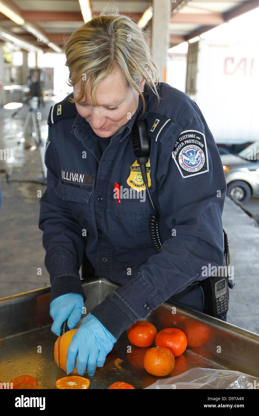 This image documents the various operations conducted by U.S. Customs ...