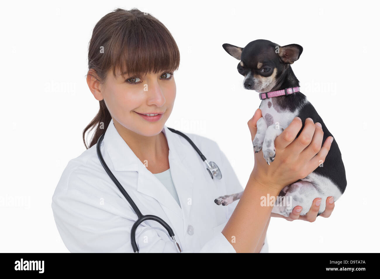 Young female vet holding hi-res stock photography and images - Alamy