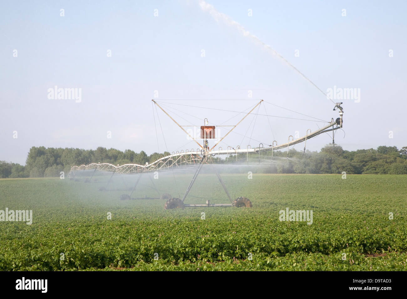 Irrigation sprayer watering field of potatoes, Hollesley, Suffolk ...