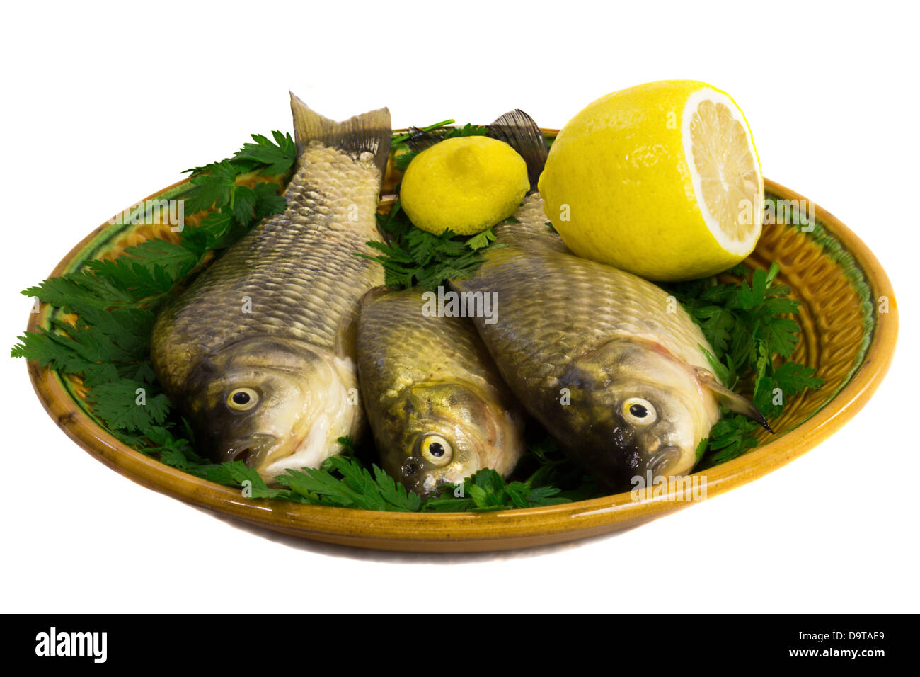 Fresh water fish - carp. Located on ceramic brown the dish with lemon ...