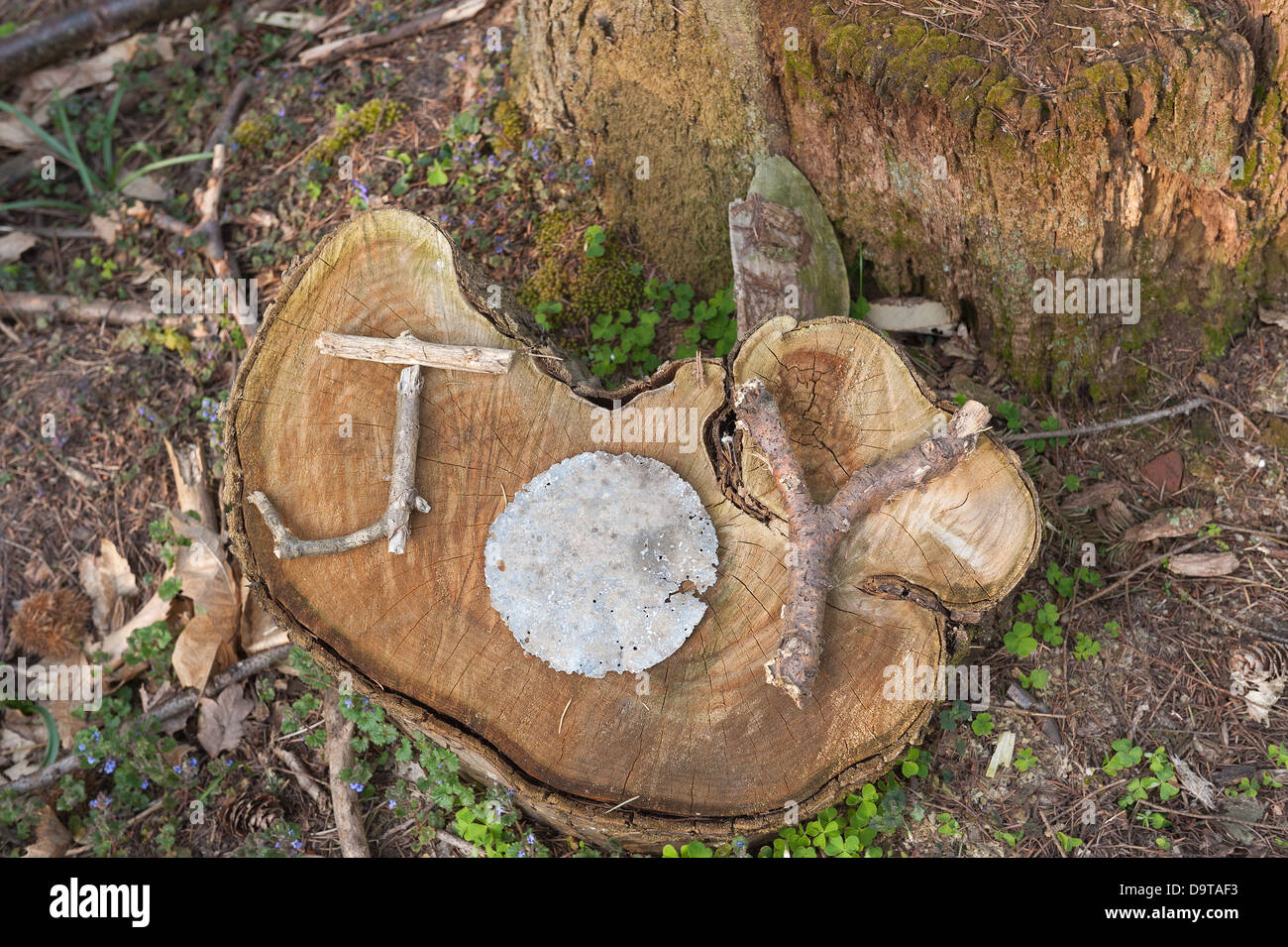 twigs forked branch galvanised iron circle recycled woodland debris ...