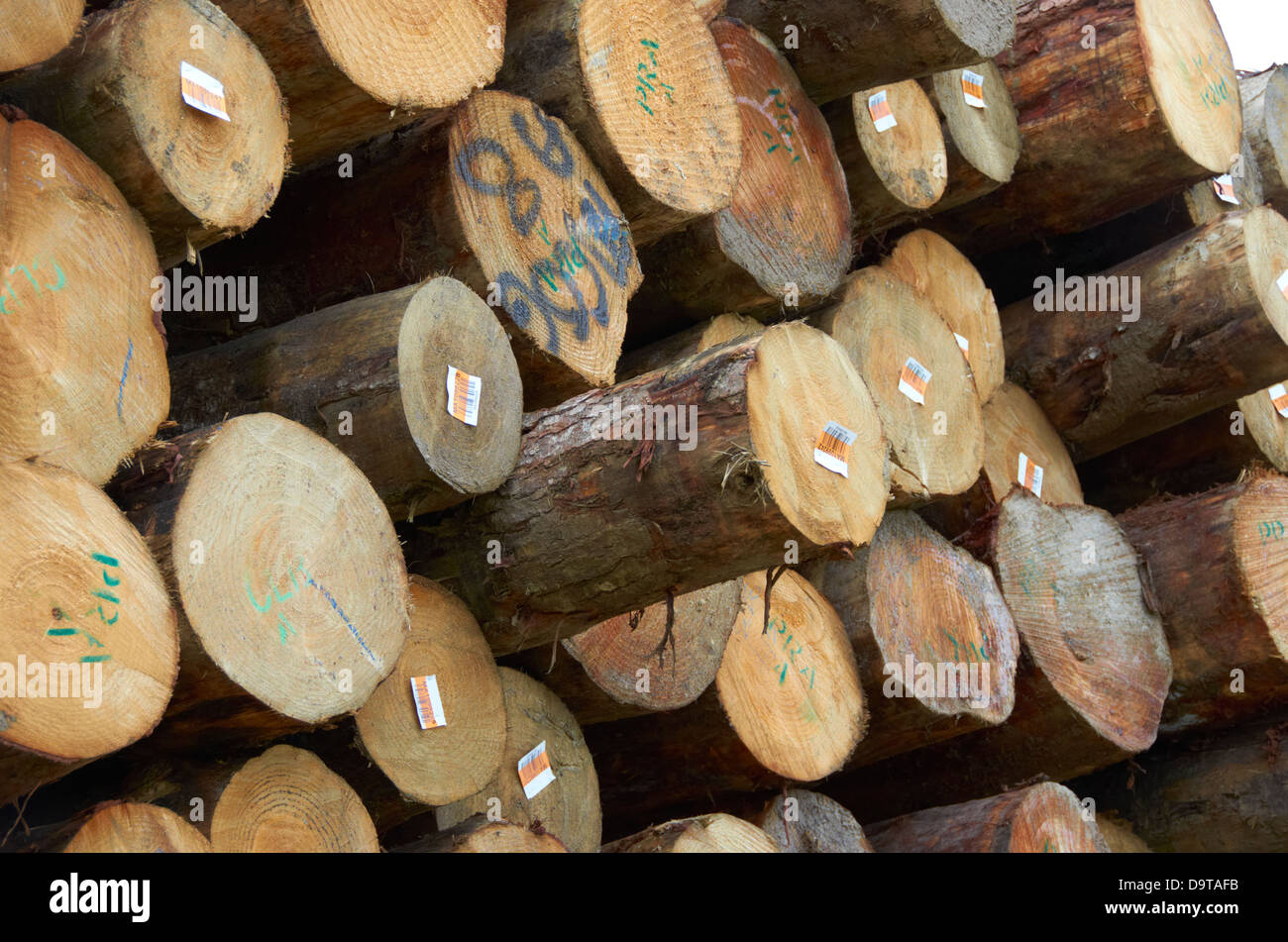 Long Timber Wharf High Resolution Stock Photography and Images - Alamy