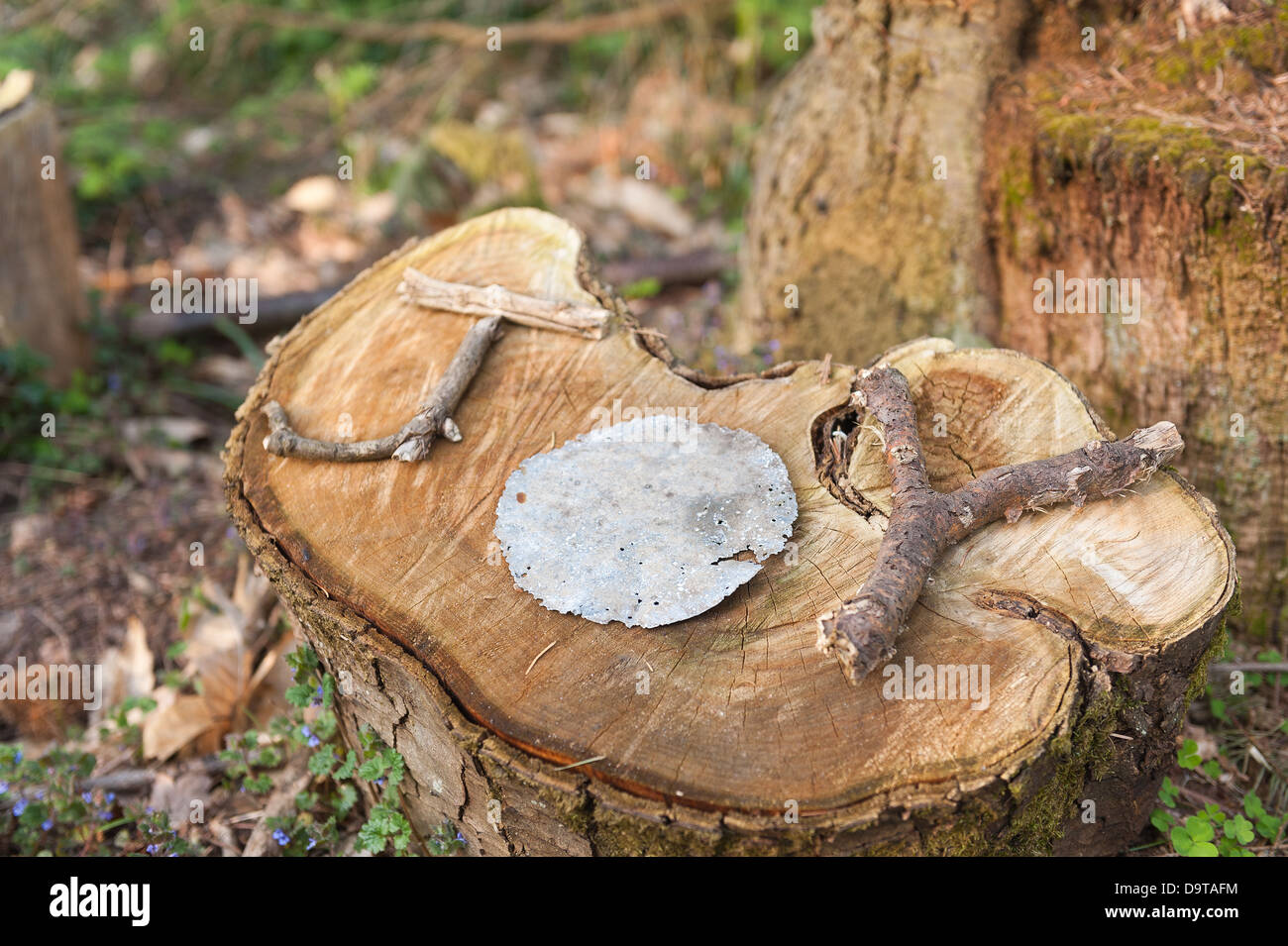 twigs forked branch galvanised iron circle recycled woodland debris ...