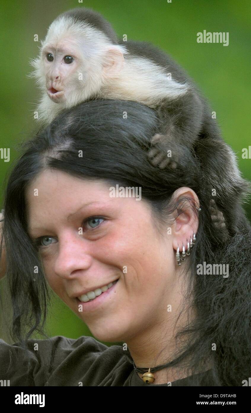 Monkey keeper zoo hi-res stock photography and images - Alamy