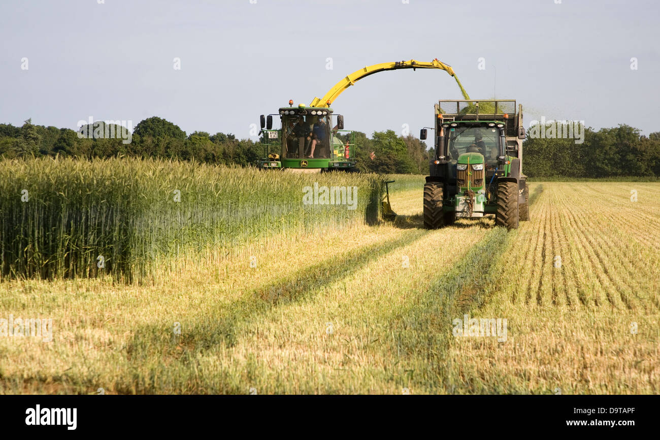 Mechanized harvesting hi-res stock photography and images - Alamy