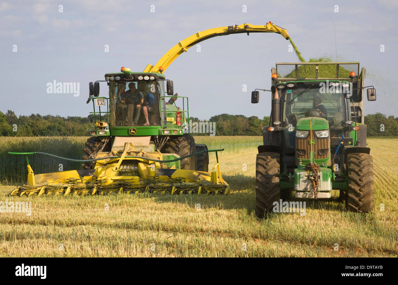Harvesting rye crop for use as fuel for electricity generation ...