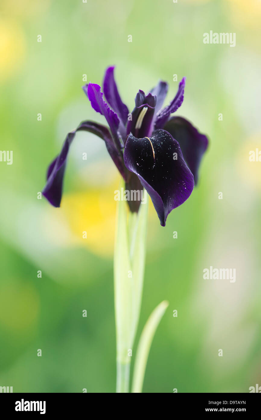 Form deep hi-res stock photography and images - Alamy