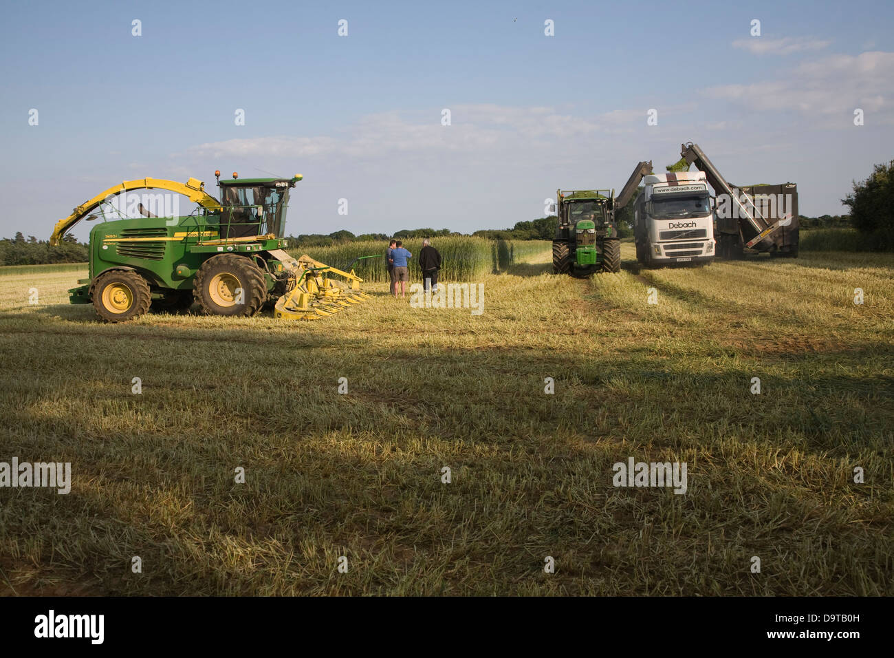 Cereal crop harvesting hi-res stock photography and images - Alamy