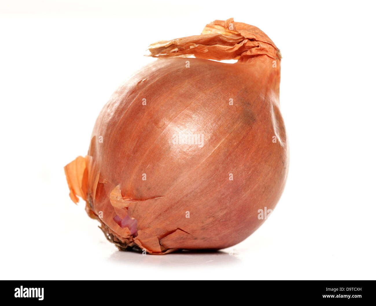 whole shallot studio cut out Stock Photo - Alamy