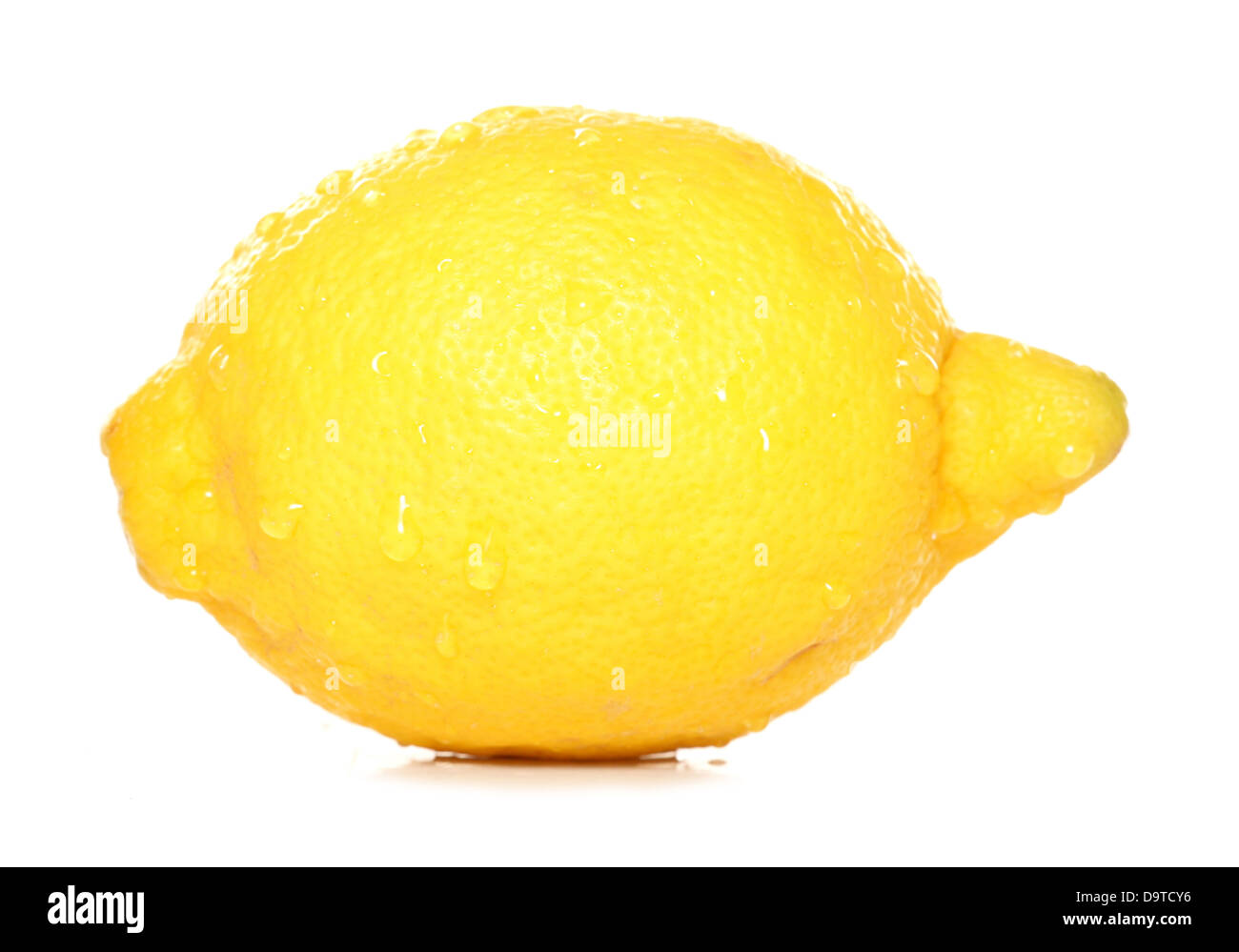 whole lemon studio cut out Stock Photo - Alamy