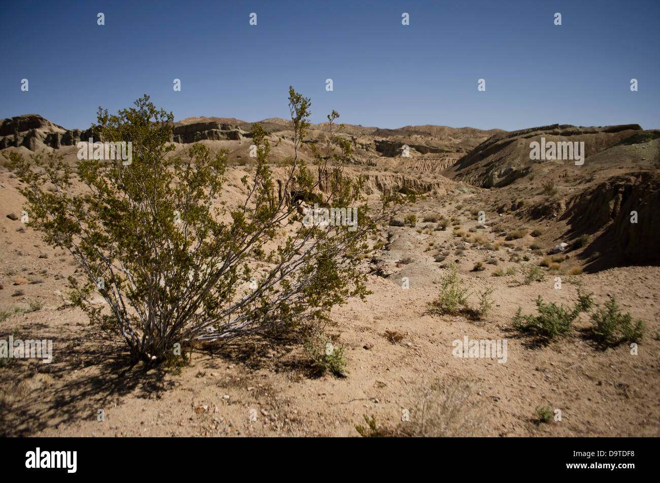 Desert erosion hi-res stock photography and images - Alamy