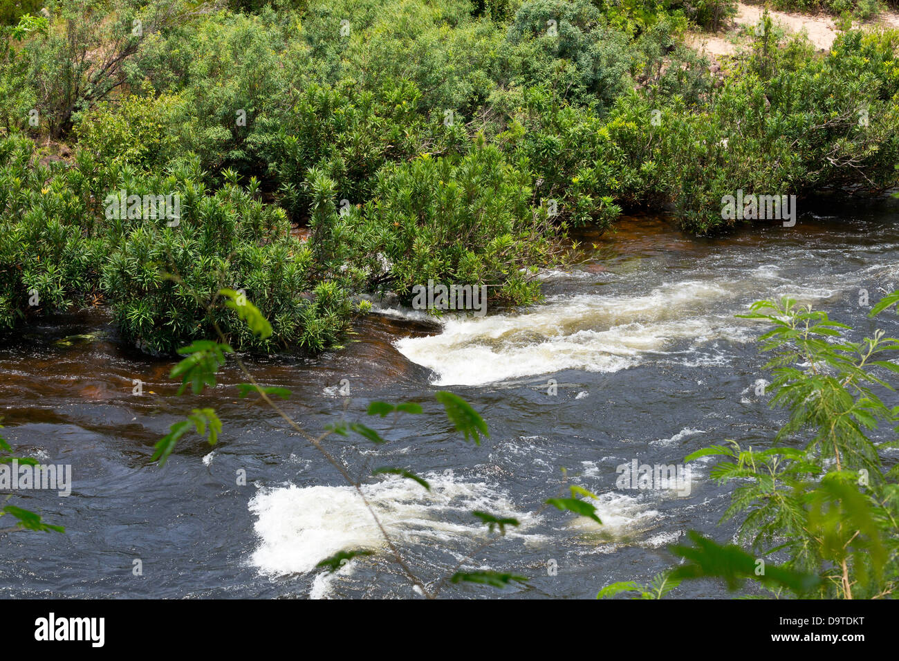 The Teuk Chhou Rapids in the Province of Kampot, Cambodia Stock Photo ...
