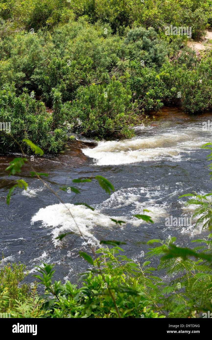 The Teuk Chhou Rapids in the Province of Kampot, Cambodia Stock Photo ...