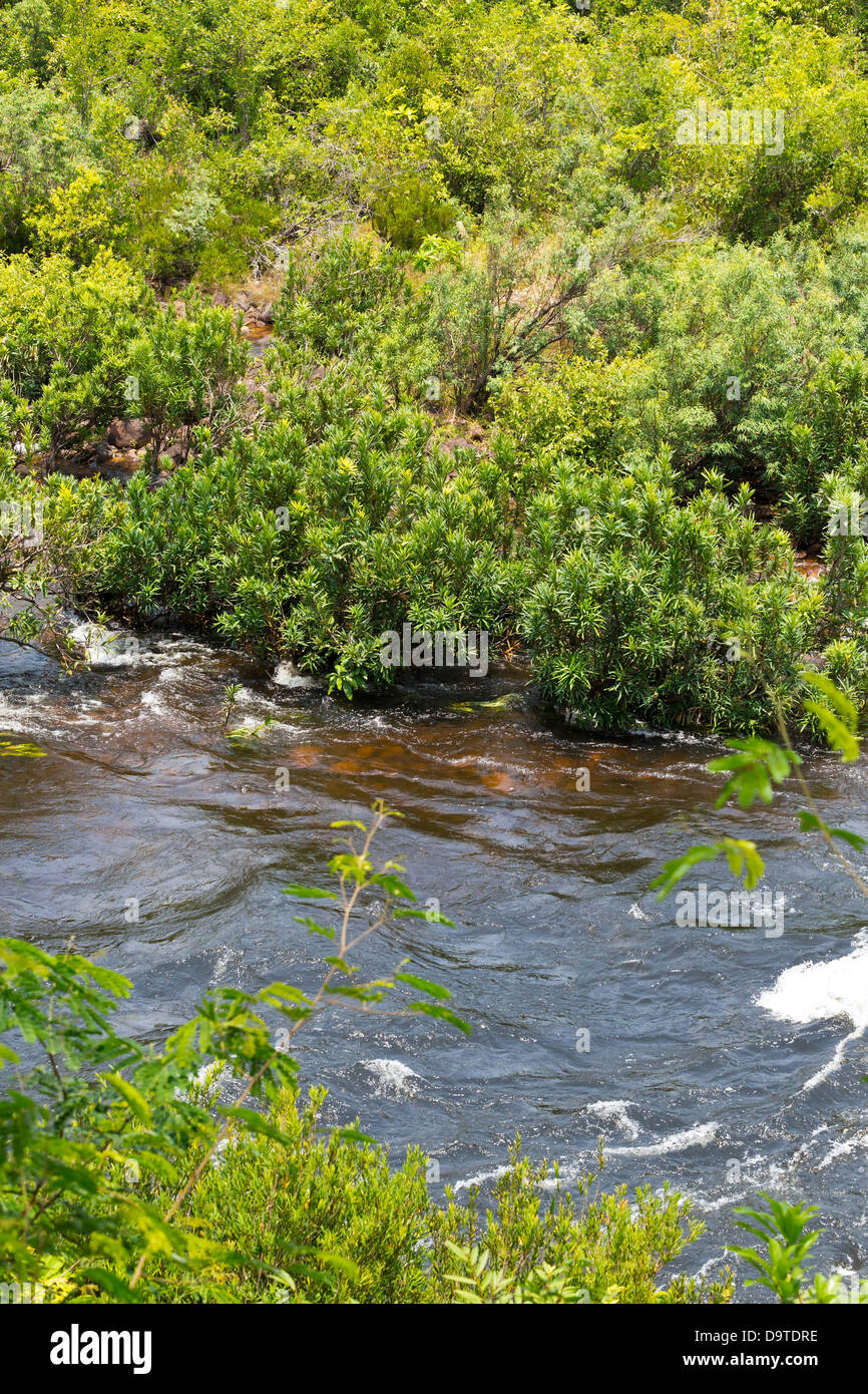 The Teuk Chhou Rapids in the Province of Kampot, Cambodia Stock Photo ...
